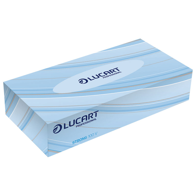 Facial Tissues 2ply White - 100 Tissues Per Box (Case/36)